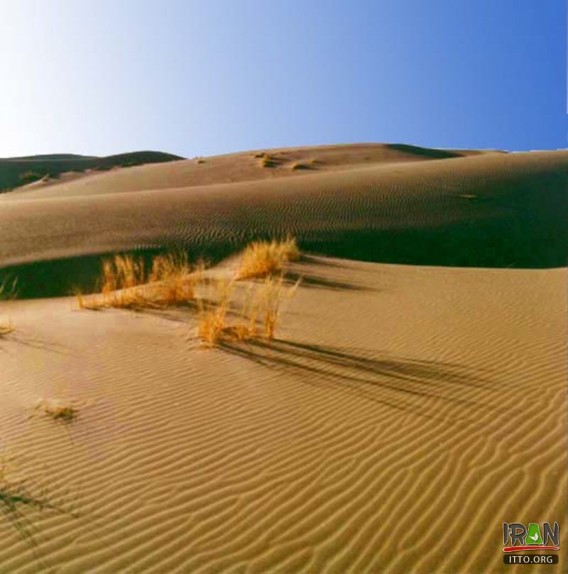 Kavir National Park and Wildlife Photo Gallery - Iran Travel and Tourism