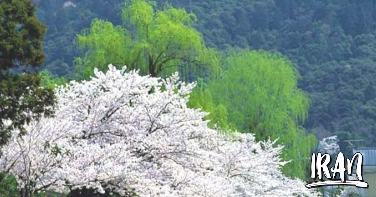 Tonekabon city 2025, Mazandaran province - Things to do and places to ...