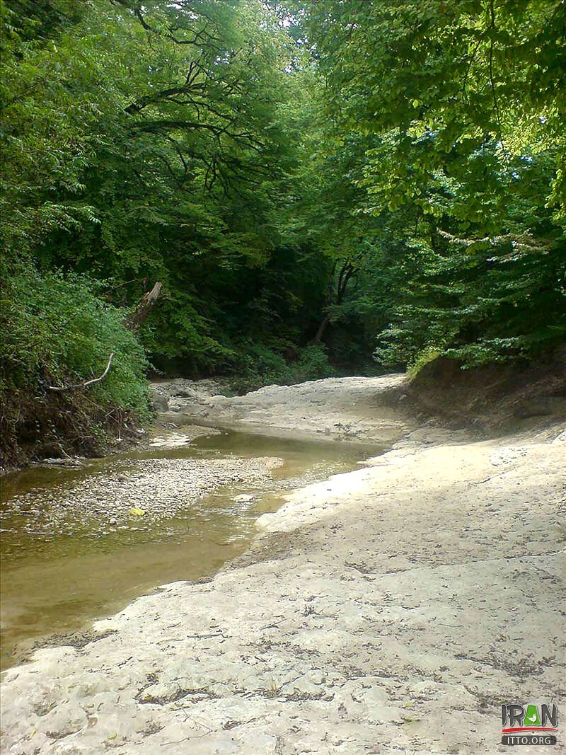 Neka River Photo Gallery - Iran Travel and Tourism