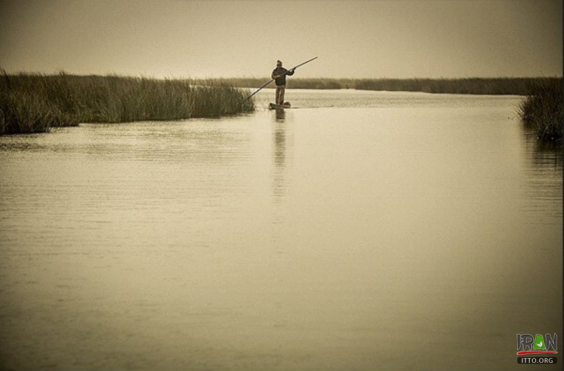 Shadegan Wetland Photo Gallery - Iran Travel and Tourism