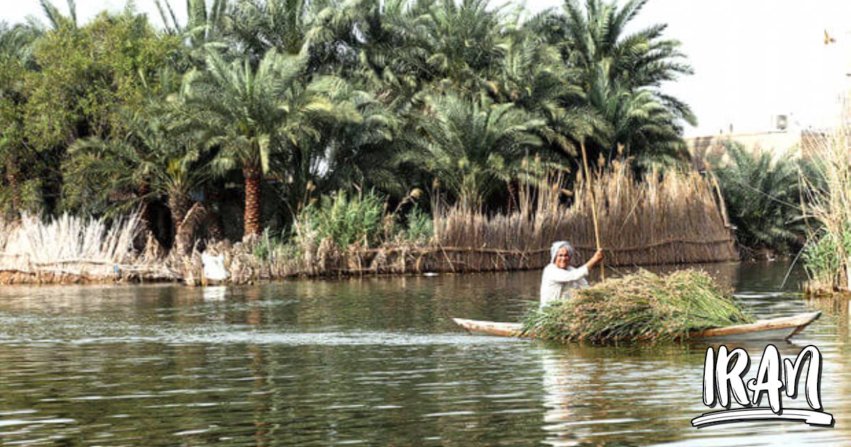 Shadegan Wetland 2026 | Shadegan, Khuzestan | Sights - Iran Travel and ...