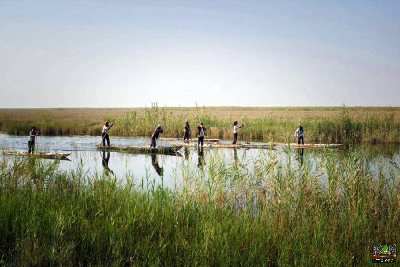 Shadegan Wetland Photo Gallery - Iran Travel and Tourism