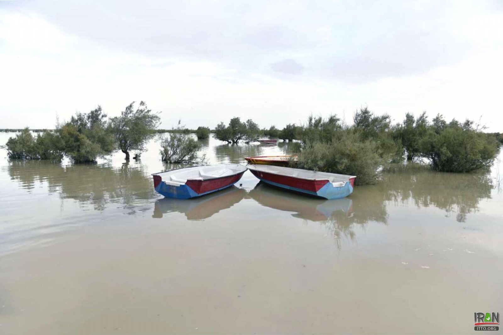 Hamoon Lake Photo Gallery - Iran Travel and Tourism