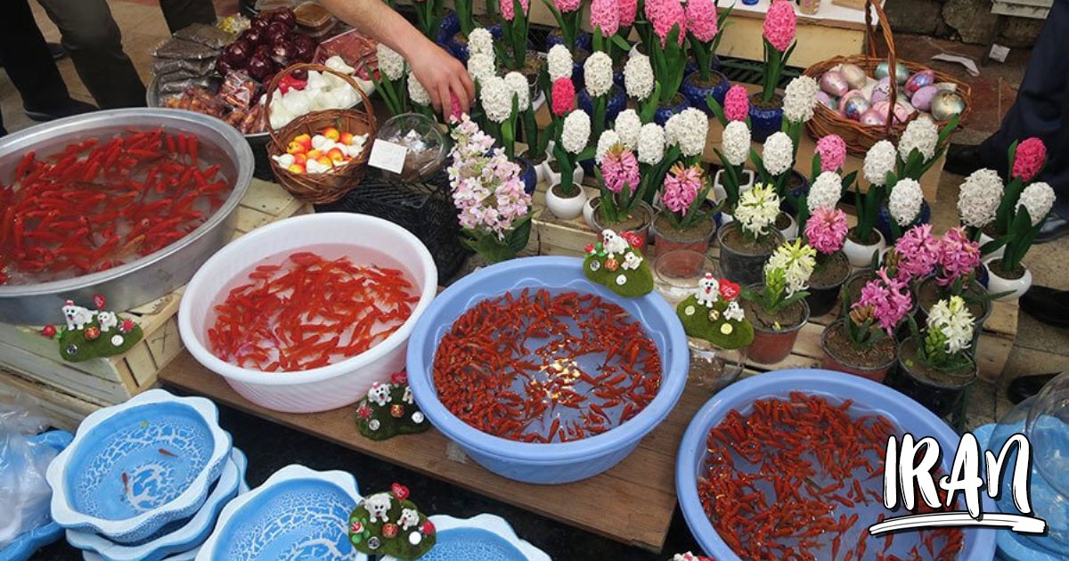 PHOTO: Tajrish Bazaar - Tehran - Iran Travel and Tourism