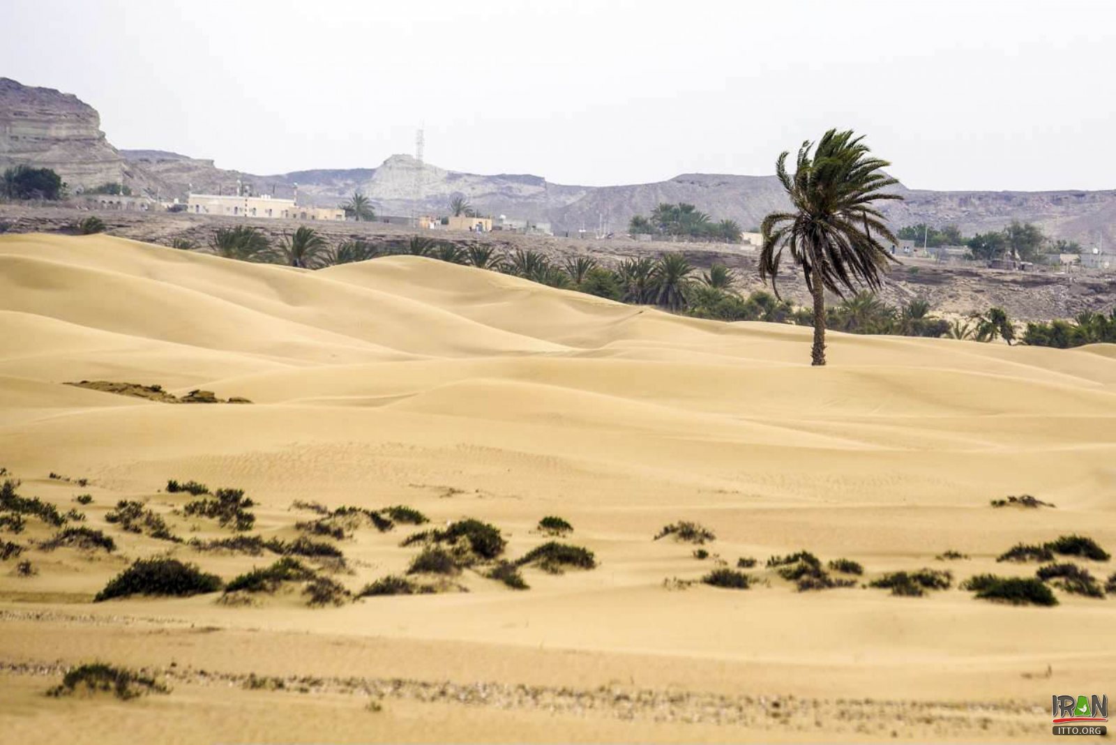 Darak Village (Darak Beach) Photo Gallery - Iran Travel and Tourism