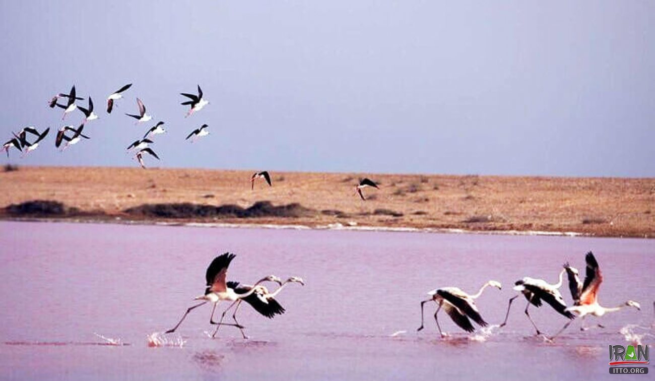 Lipar Pink Lagoon Photo Gallery - Iran Travel and Tourism