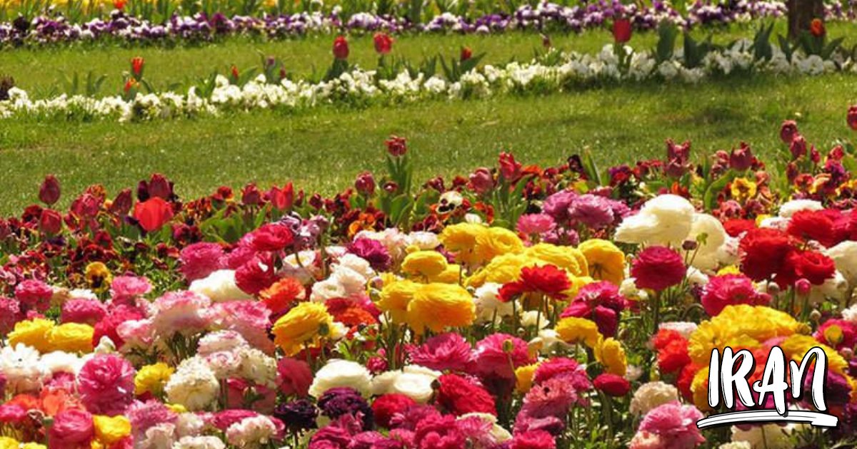 PHOTO: Isfahan Flower Garden - Iran Travel and Tourism