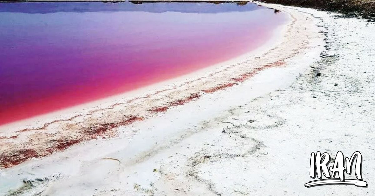 PHOTO: Lipar Pink Lake - Chabahar - Iran Travel and Tourism