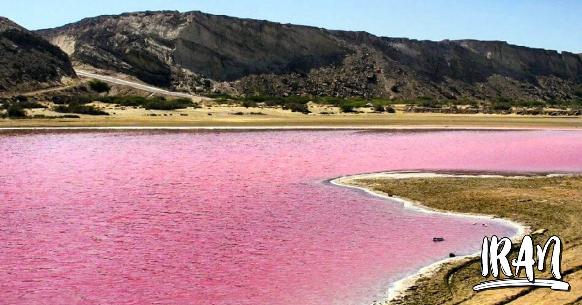 PHOTO: Lipar Pink Wetland near Chabahar - Iran Travel and Tourism