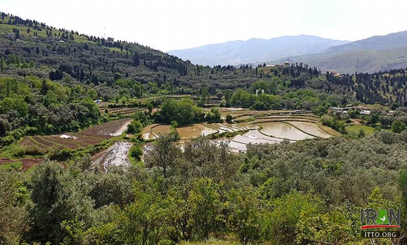 Marlik Hill (Archaeological site) Photo Gallery - Iran Travel and Tourism
