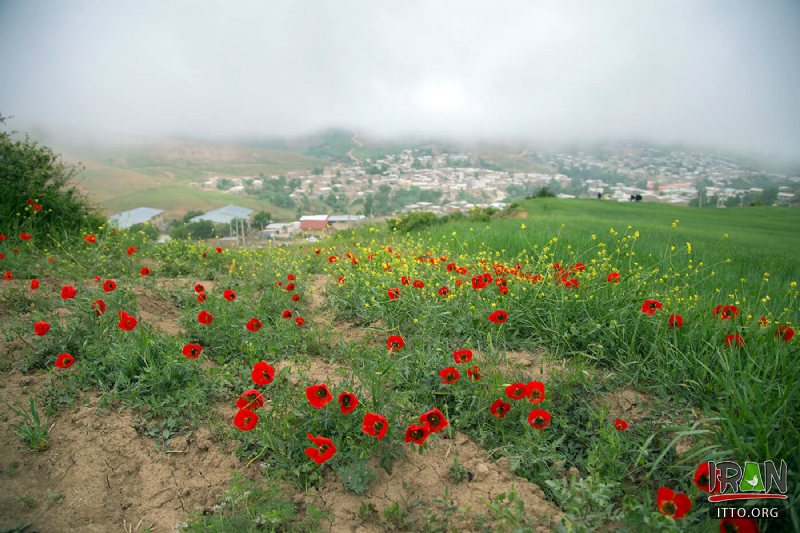 Semnan Villages Photo Gallery - Iran Travel and Tourism