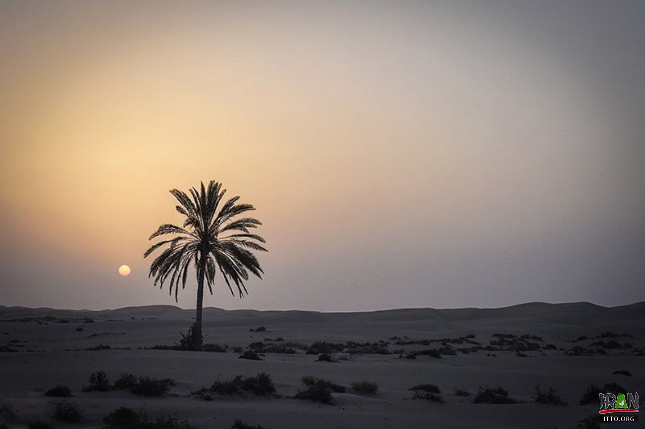 Darak Village (Darak Beach) Photo Gallery - Iran Travel and Tourism