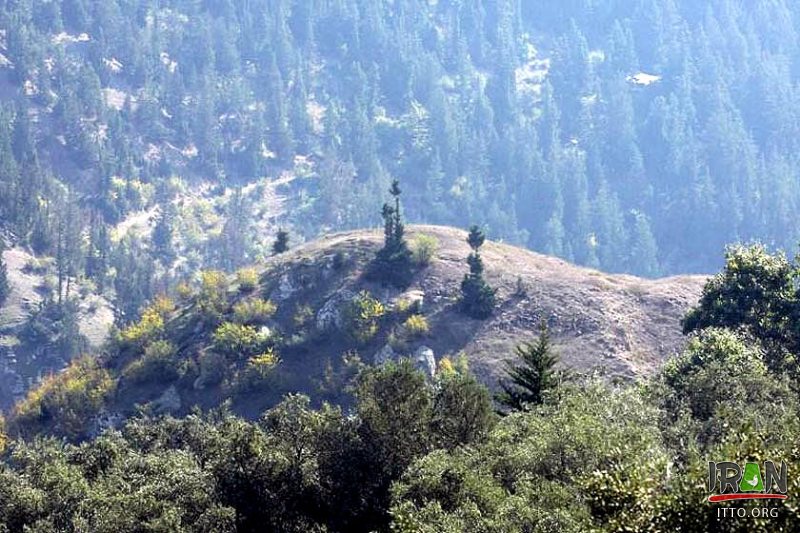 Marlik Hill (Archaeological site) Photo Gallery - Iran Travel and Tourism